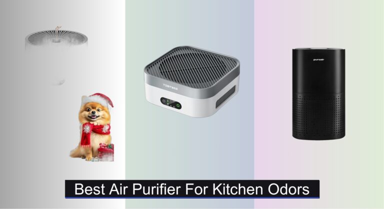 7 Best Air Purifiers for Kitchen Odors 2026