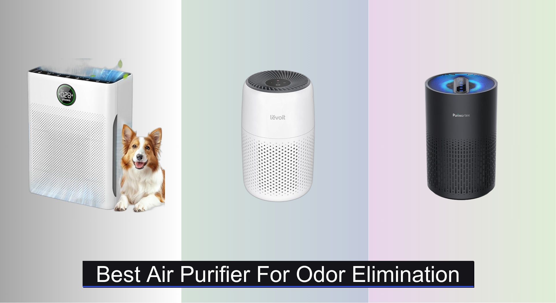 8 Best Air Purifiers for Odor Elimination 2026