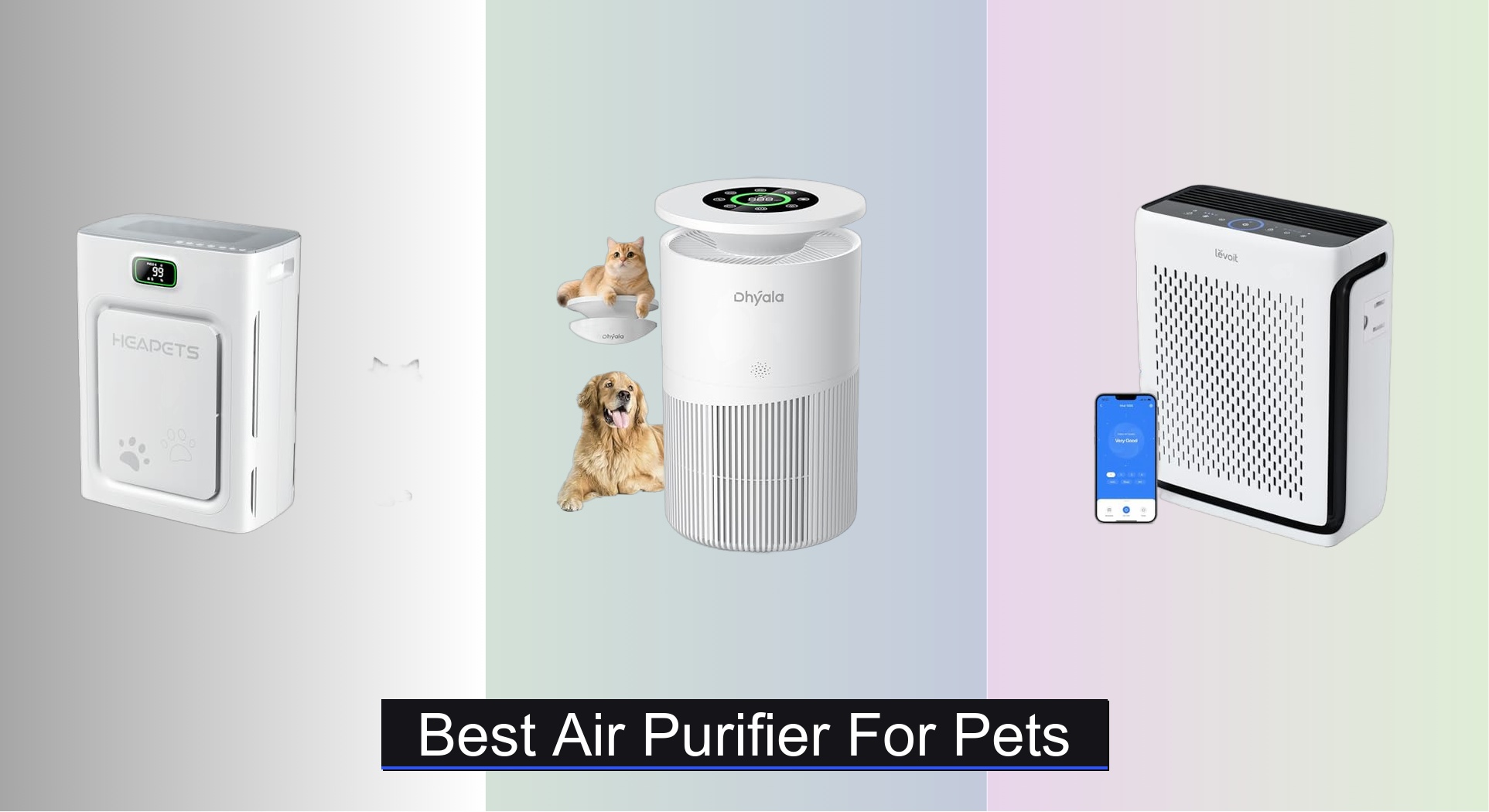 8 Best Air Purifiers for Pets 2026