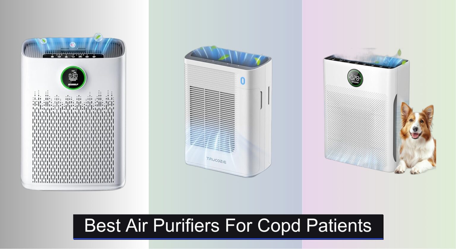 7 Best Air Purifiers for COPD Patients (2025 Guide)
