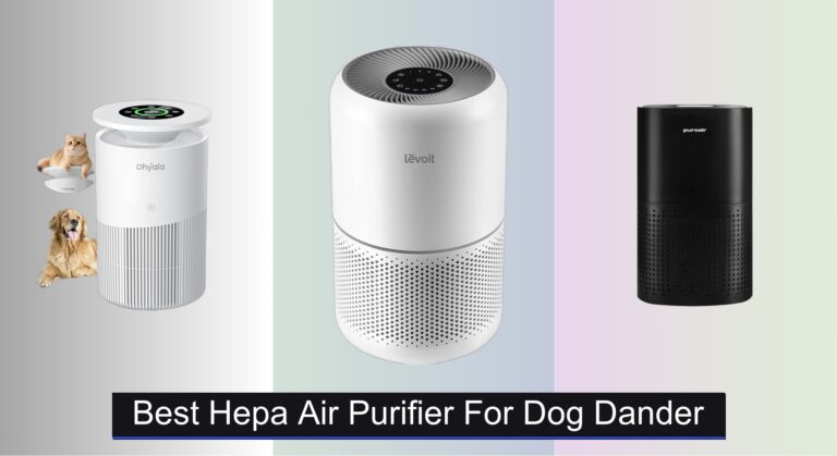 8 Best HEPA Air Purifiers for Dog Dander (2025 Guide)