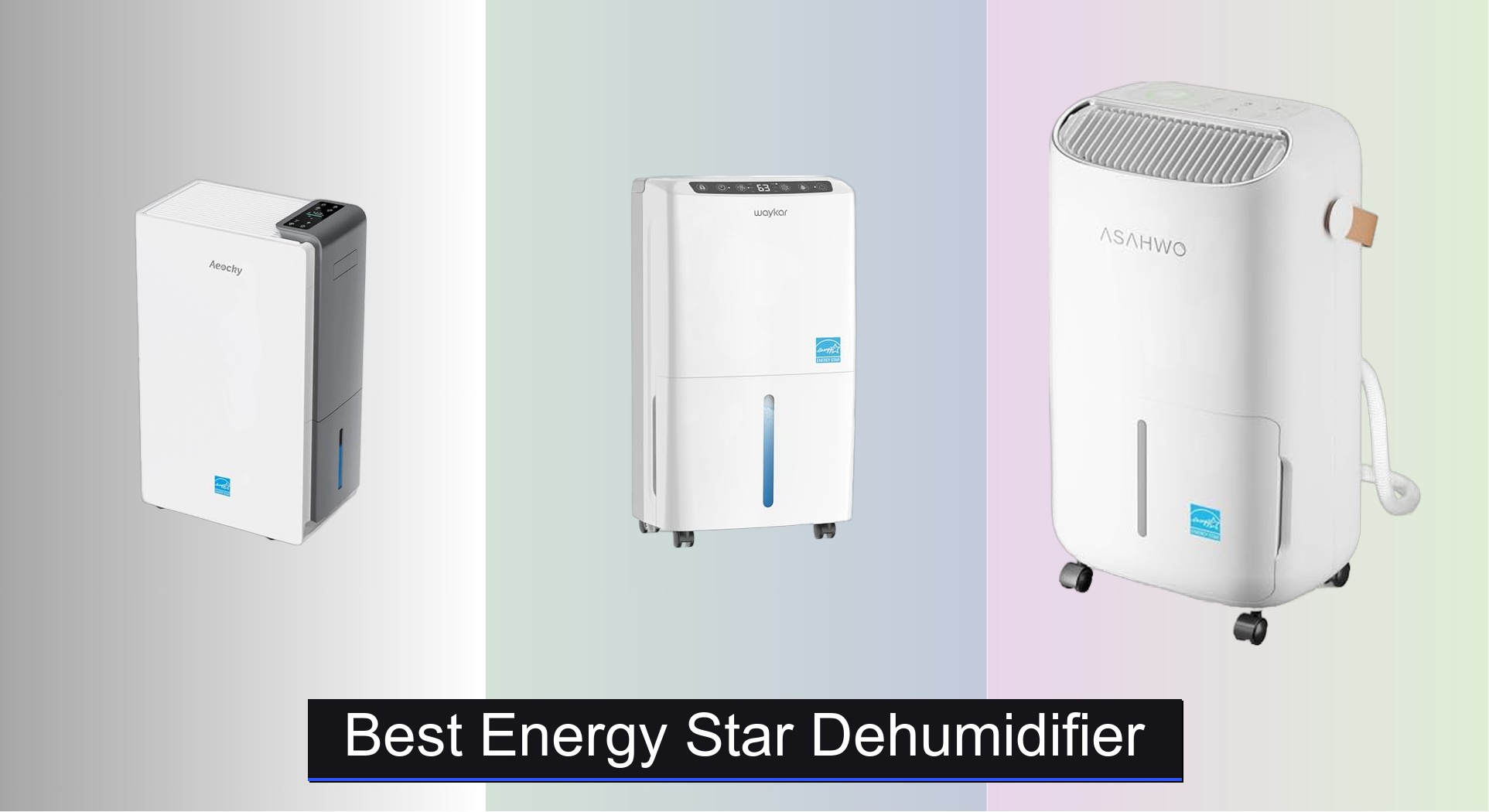 8 Best Energy Star Dehumidifiers 2026