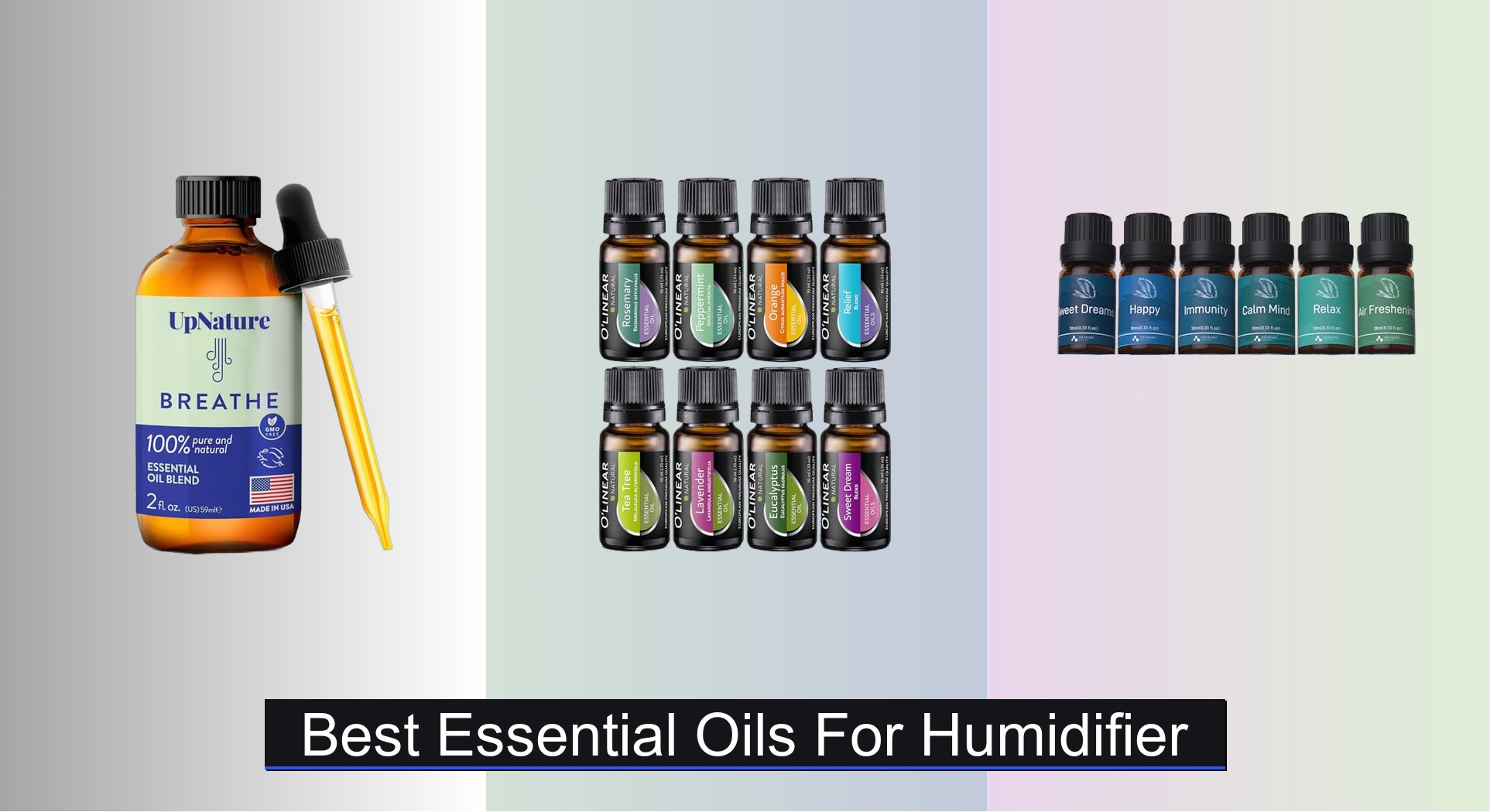 8 Best Essential Oils for Humidifier 2026
