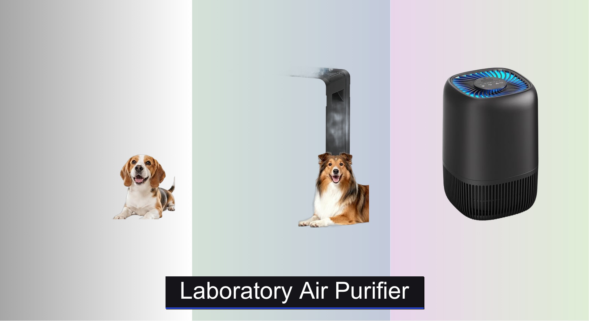 8 Best Laboratory Air Purifiers of 2026